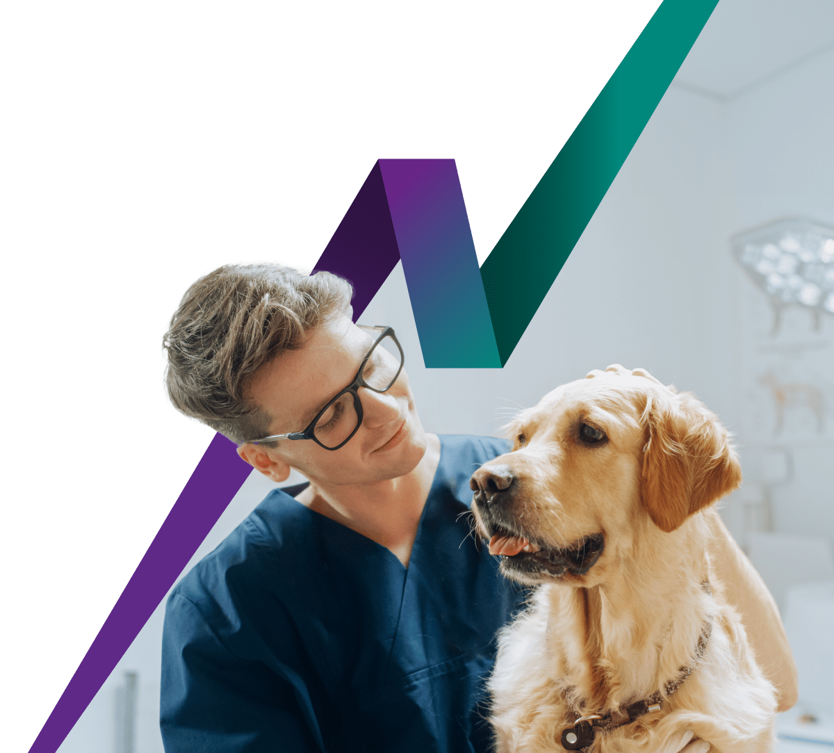 Discover the flea and tick solution for dogs