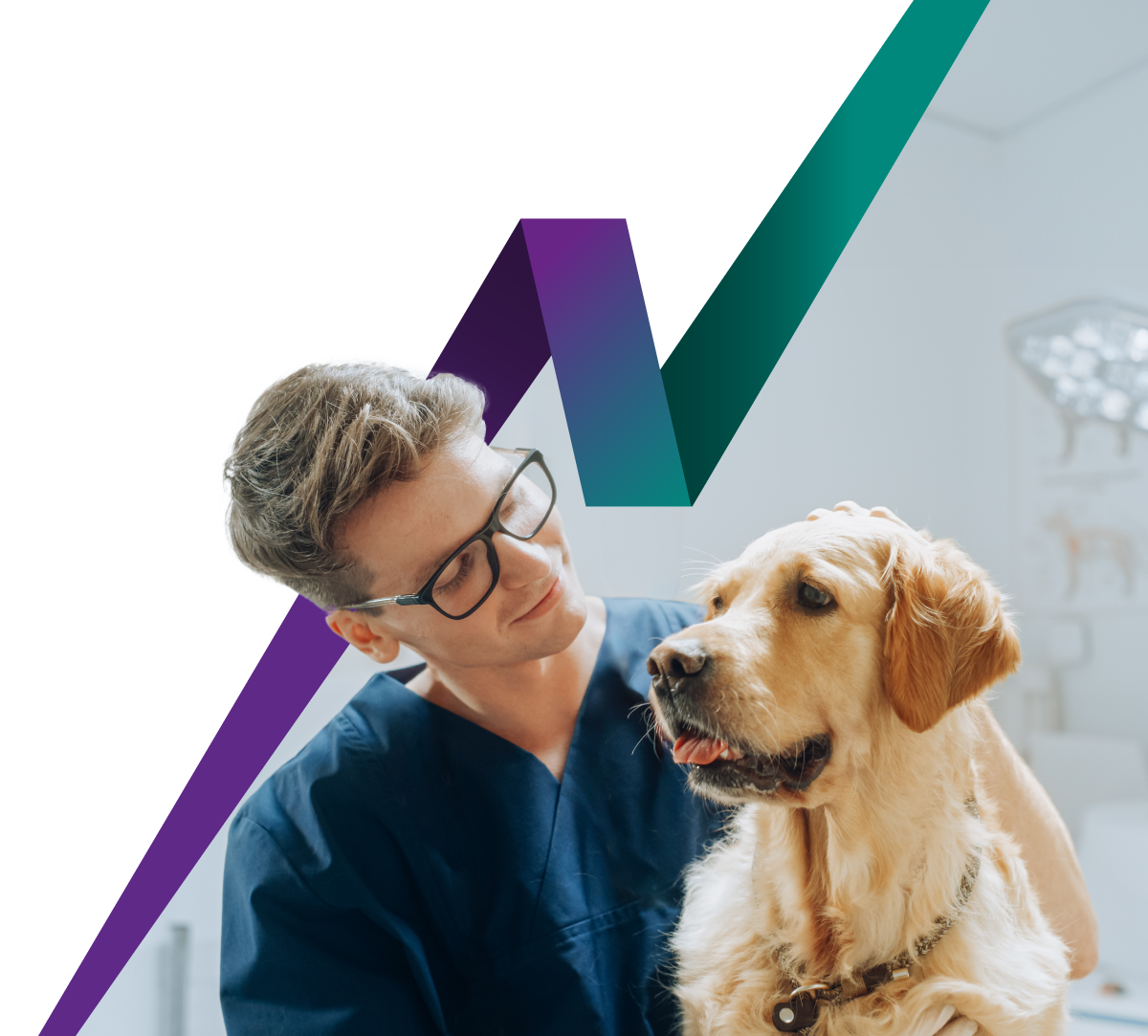 UK-TriUNO Website Vet Landing Page - Bravecto Global UK