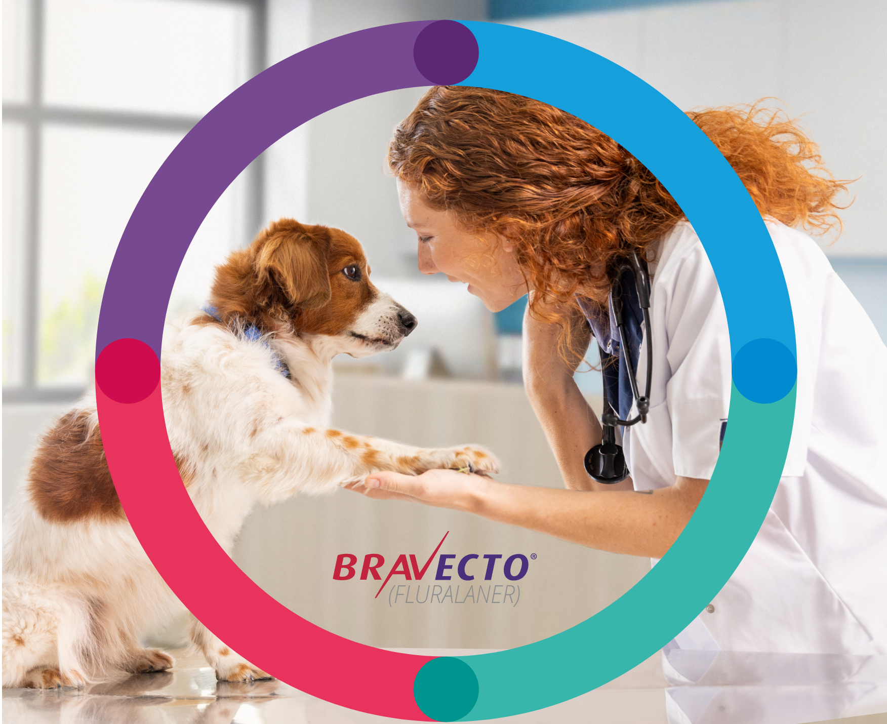 Discover the flea and tick solution for dogs