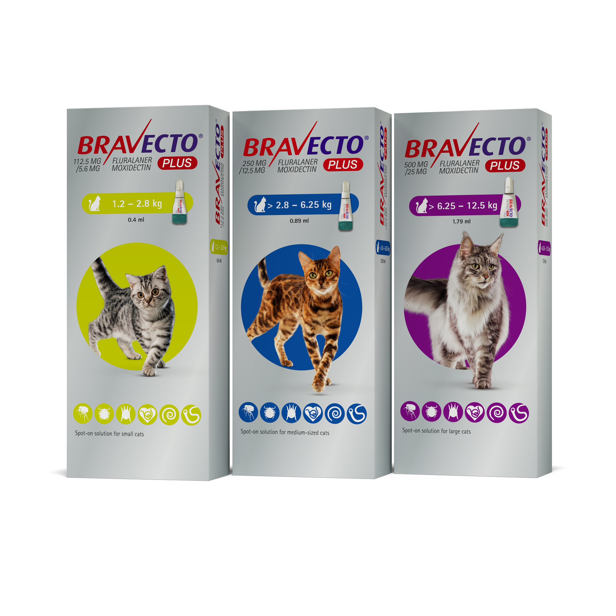 Complete Flea and tick control for cats